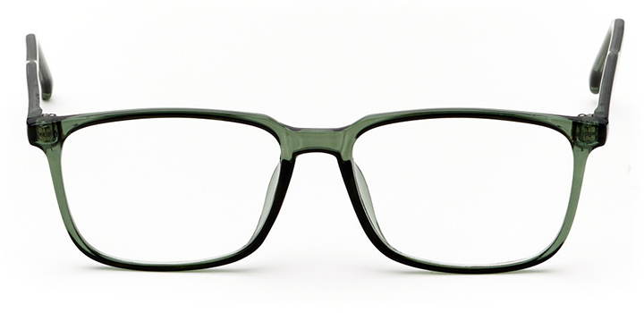 Carrollton :Rectangle Eyeglasses in Green | Stanton Optical