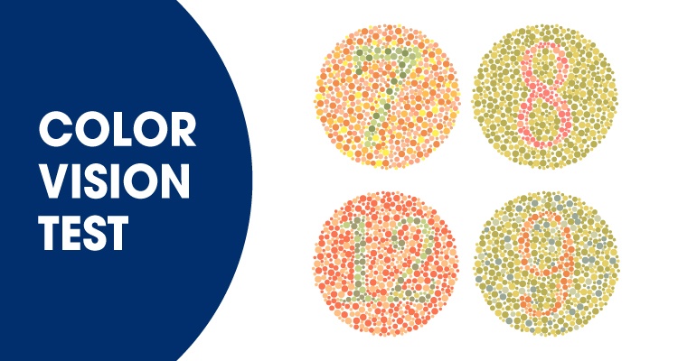 Fall 14 Printable Ishihara Color Blind Test FREE Printable PDF From 